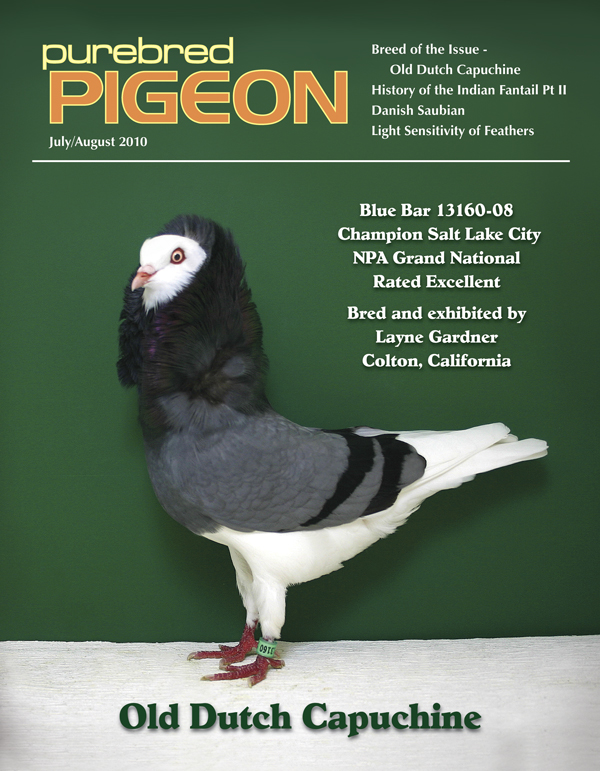 Pigeon Magazine | Show Pigeons | Performing Pigeons | Racing Pigeons ...