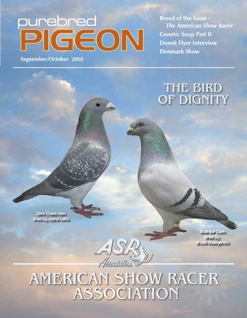 Pigeon Magazine | Show Pigeons | Performing Pigeons | Racing Pigeons ...