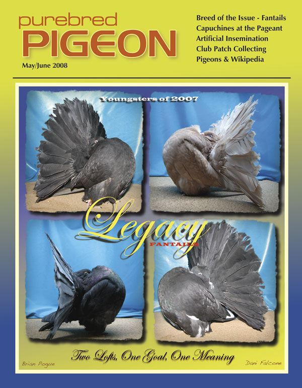 Pigeon Magazine | Show Pigeons | Performing Pigeons | Racing Pigeons ...