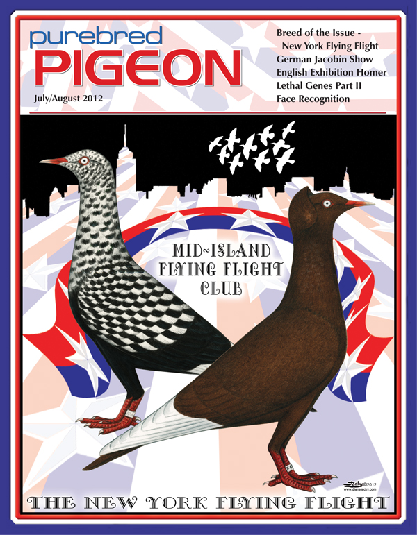 Pigeon Magazine | Show Pigeons | Performing Pigeons | Racing Pigeons ...