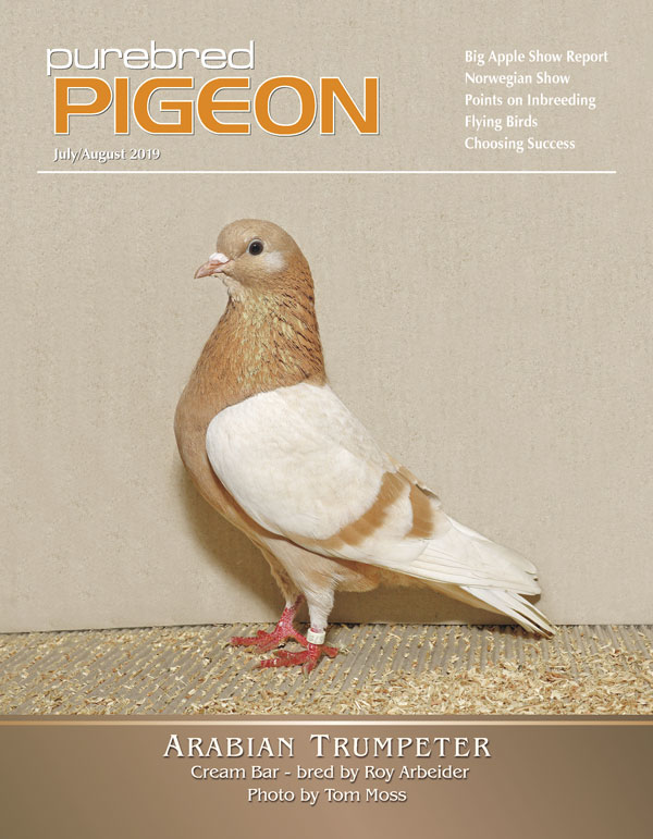 Pigeon Magazine | Show Pigeons | Performing Pigeons | Racing Pigeons ...