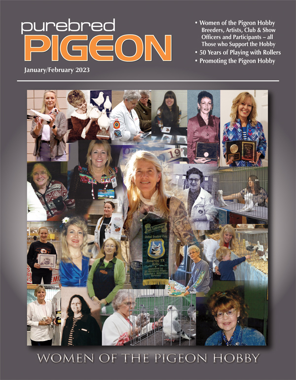 Pigeon Magazine | Show Pigeons | Performing Pigeons | Racing Pigeons ...