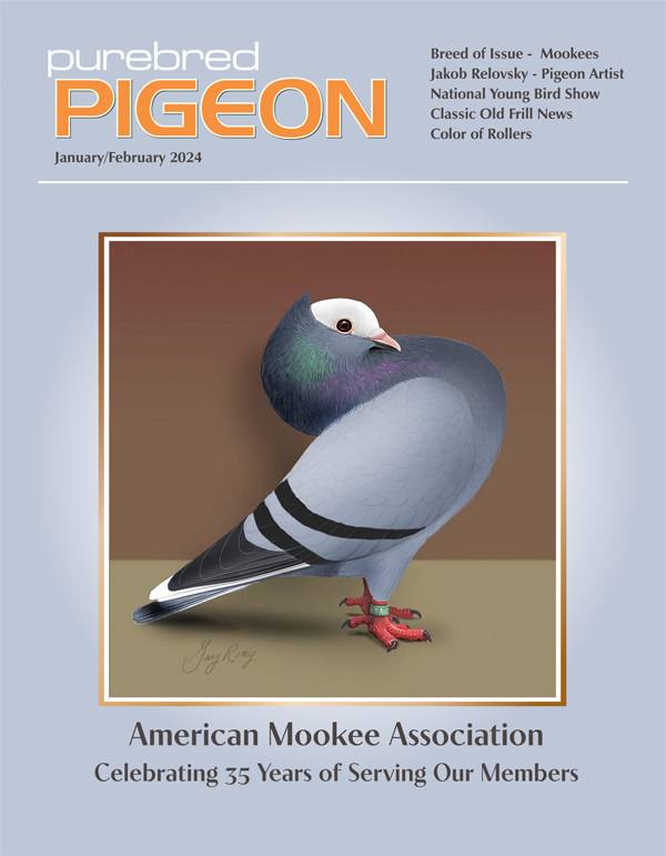 Pigeon Magazine | Fancy Pigeons | Performing Pigeons | Racing Pigeons ...