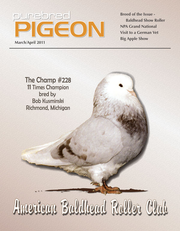 Pigeon Magazine | Show Pigeons | Performing Pigeons | Racing Pigeons ...