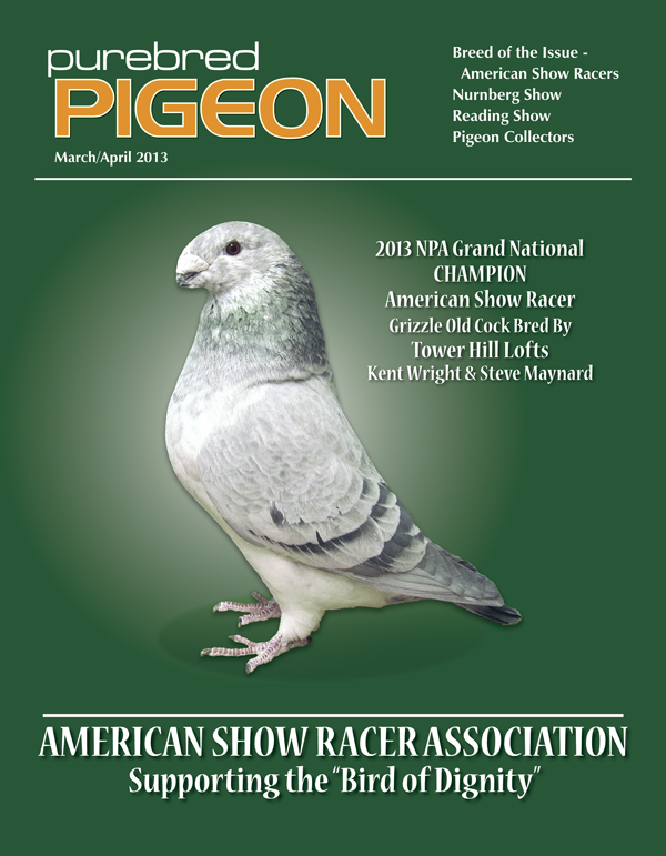 Pigeon Magazine | Show Pigeons | Performing Pigeons | Racing Pigeons ...
