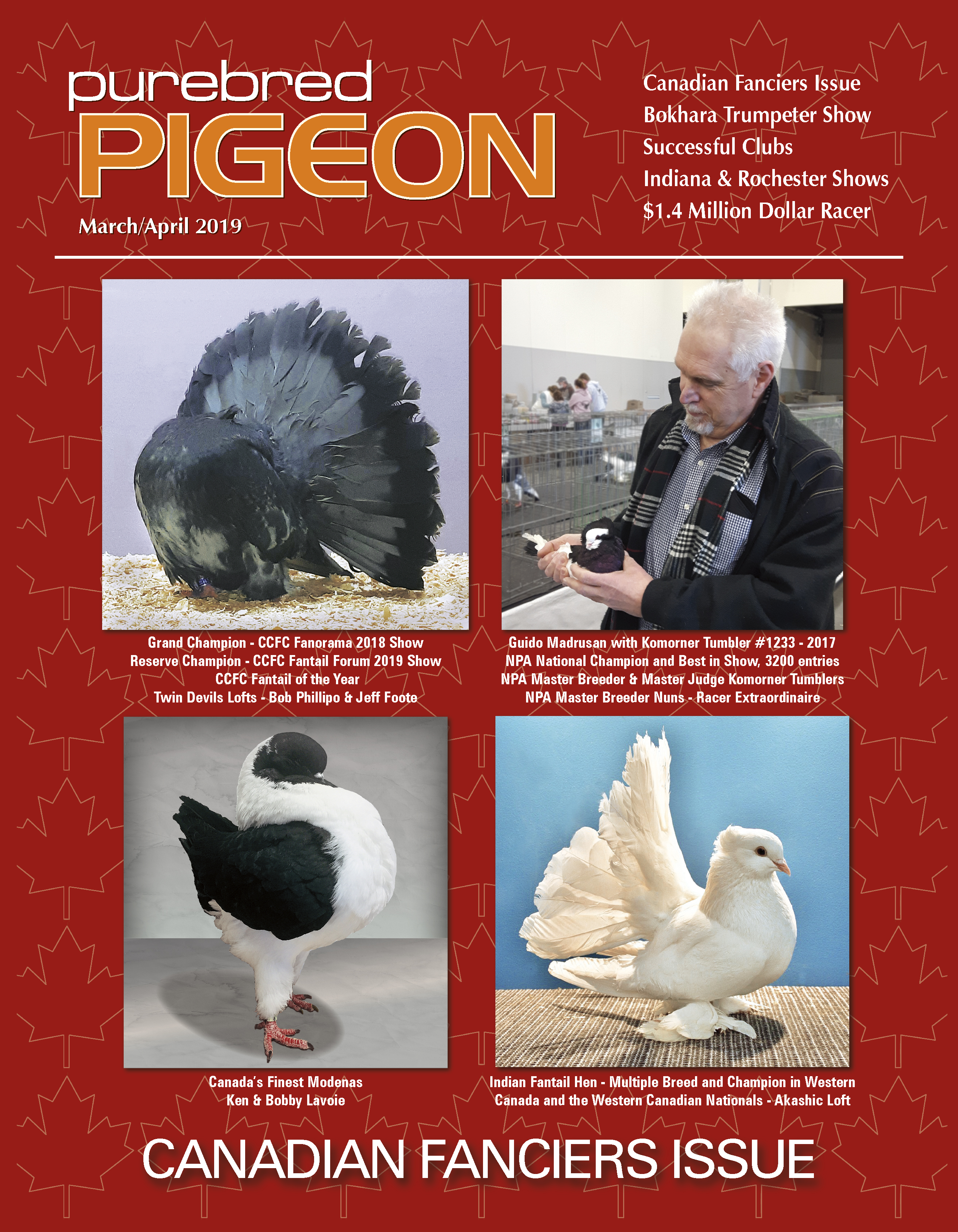 Pigeon Magazine | Show Pigeons | Performing Pigeons | Racing Pigeons ...