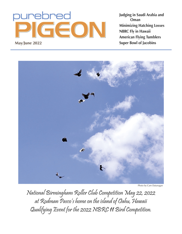 Pigeon Magazine | Show Pigeons | Performing Pigeons | Racing Pigeons ...