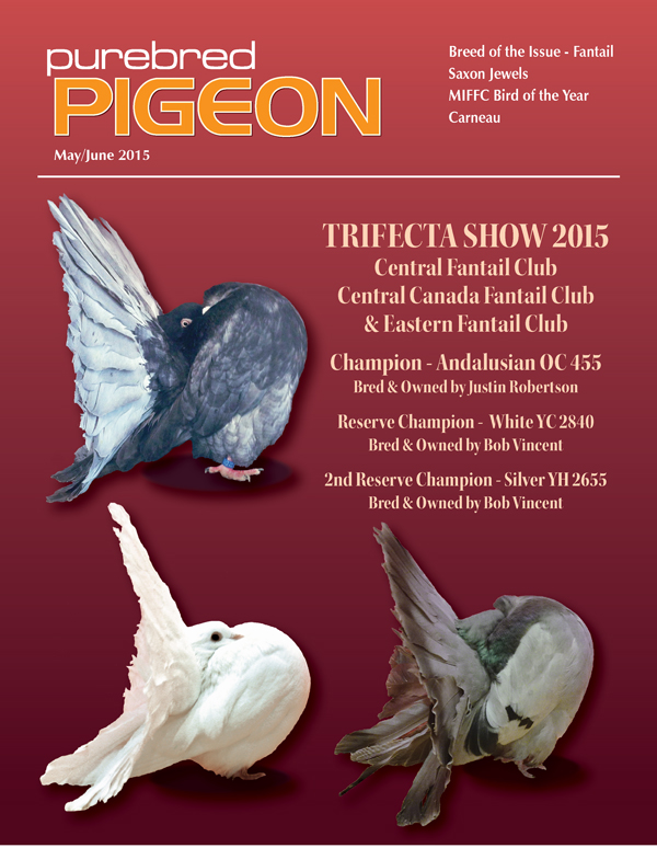 Pigeon Magazine | Show Pigeons | Performing Pigeons | Racing Pigeons ...