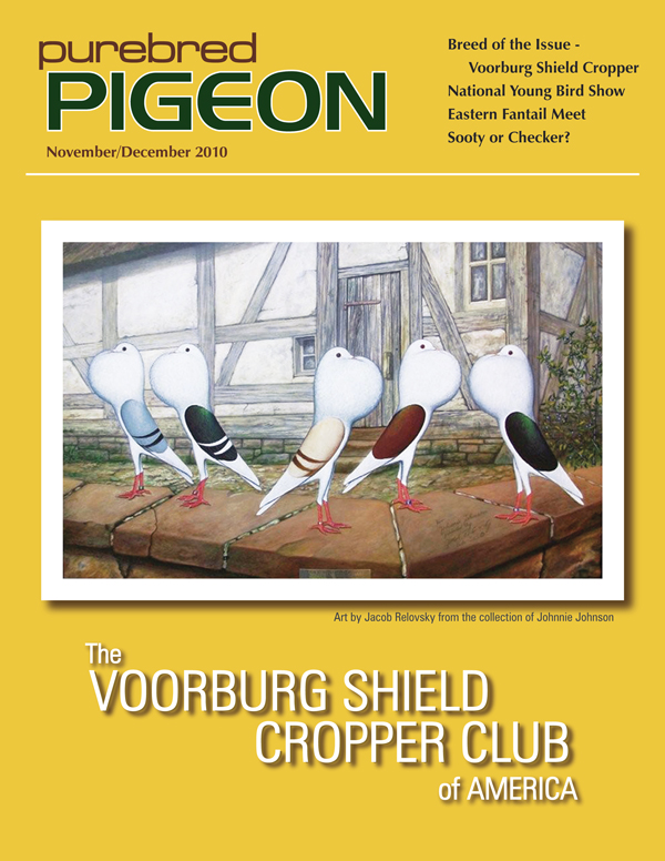 Pigeon Magazine | Show Pigeons | Performing Pigeons | Racing Pigeons ...