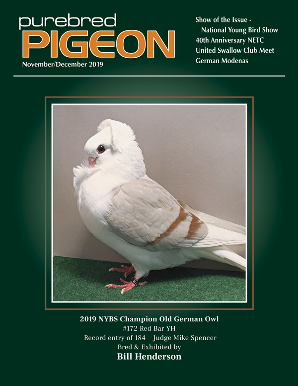 Pigeon Magazine | Show Pigeons | Performing Pigeons | Racing Pigeons ...