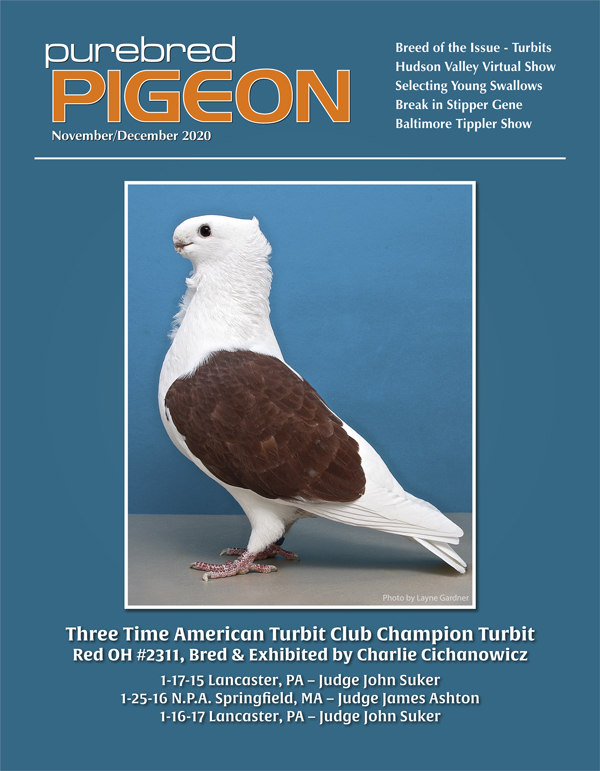 Pigeon Magazine | Fancy Pigeons | Performing Pigeons | Racing Pigeons ...