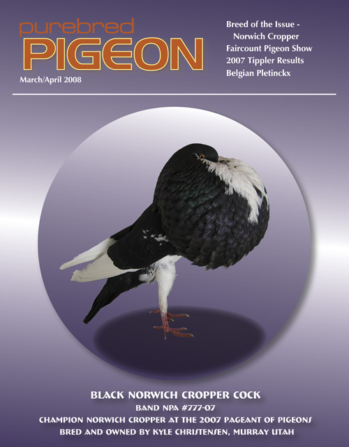 Pigeon Magazine | Show Pigeons | Performing Pigeons | Racing Pigeons ...