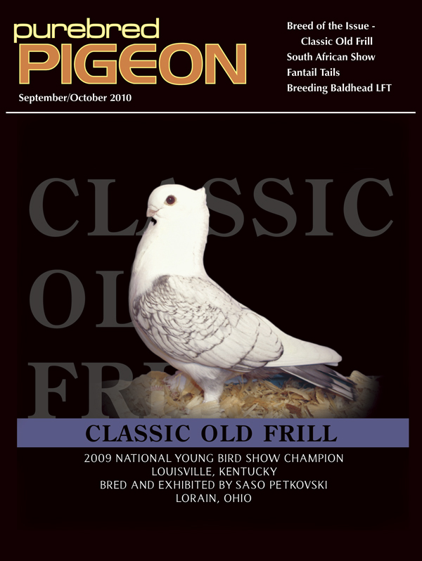 Pigeon Magazine | Show Pigeons | Performing Pigeons | Racing Pigeons ...
