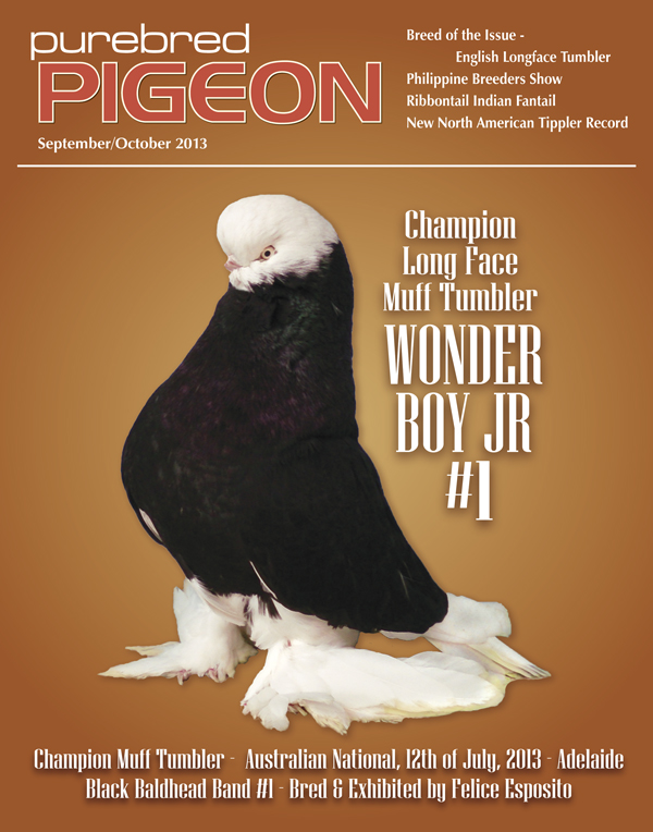 Pigeon Magazine | Show Pigeons | Performing Pigeons | Racing Pigeons ...