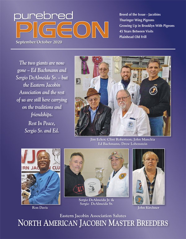 Pigeon Magazine | Show Pigeons | Performing Pigeons | Racing Pigeons ...