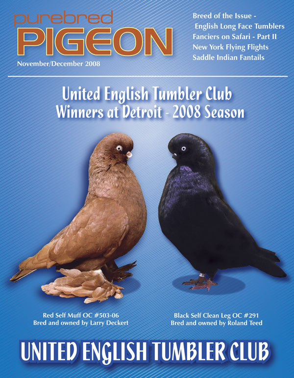 Pigeon Magazine | Show Pigeons | Performing Pigeons | Racing Pigeons ...