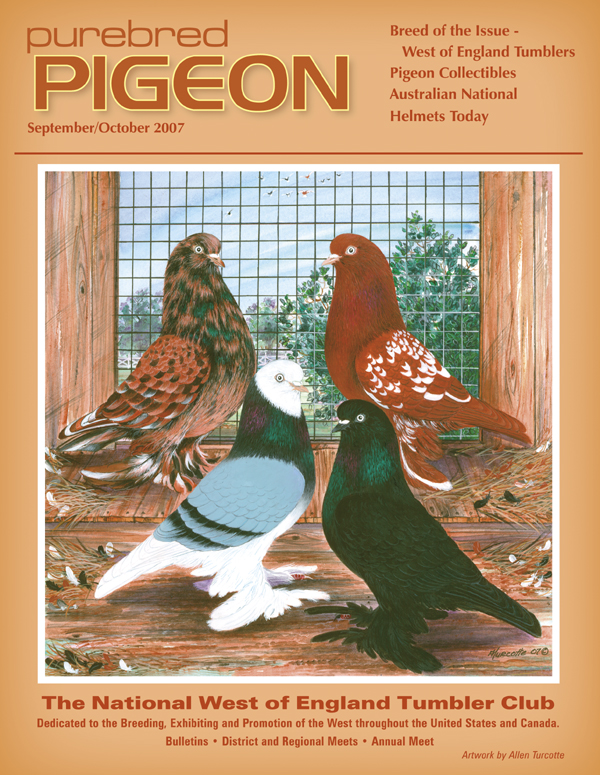 Pigeon Magazine | Show Pigeons | Performing Pigeons | Racing Pigeons ...