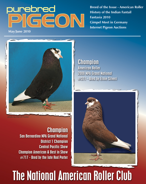 Pigeon Magazine | Show Pigeons | Performing Pigeons | Racing Pigeons ...