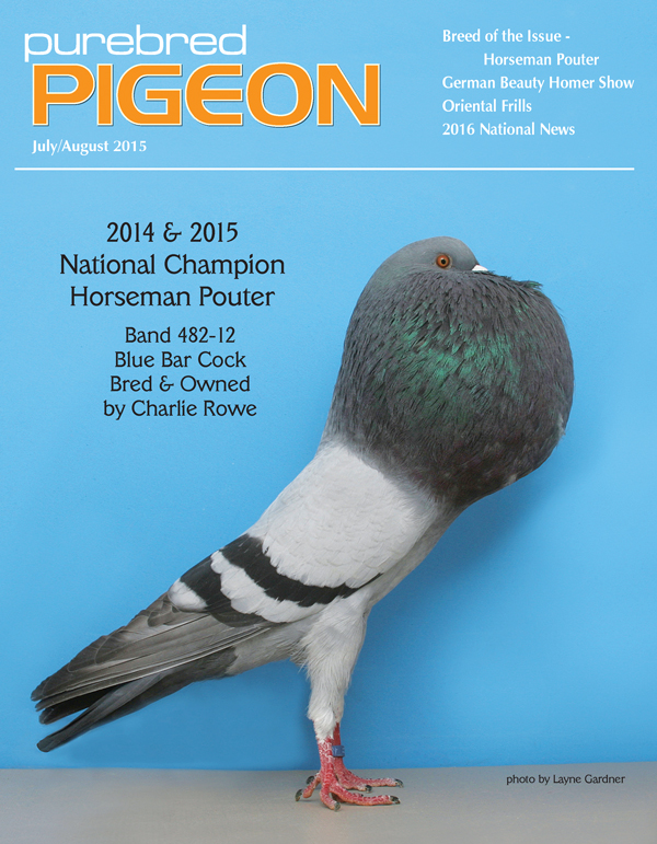 Pigeon Magazine | Show Pigeons | Performing Pigeons | Racing Pigeons ...