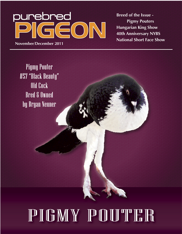 Pigeon Magazine | Show Pigeons | Performing Pigeons | Racing Pigeons ...