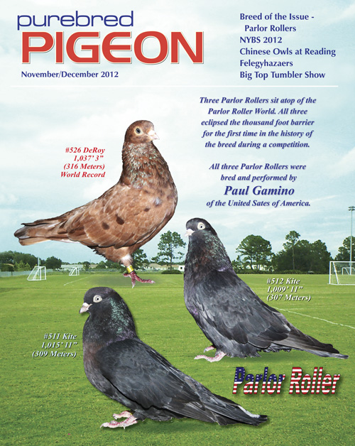 Pigeon Magazine | Show Pigeons | Performing Pigeons | Racing Pigeons ...