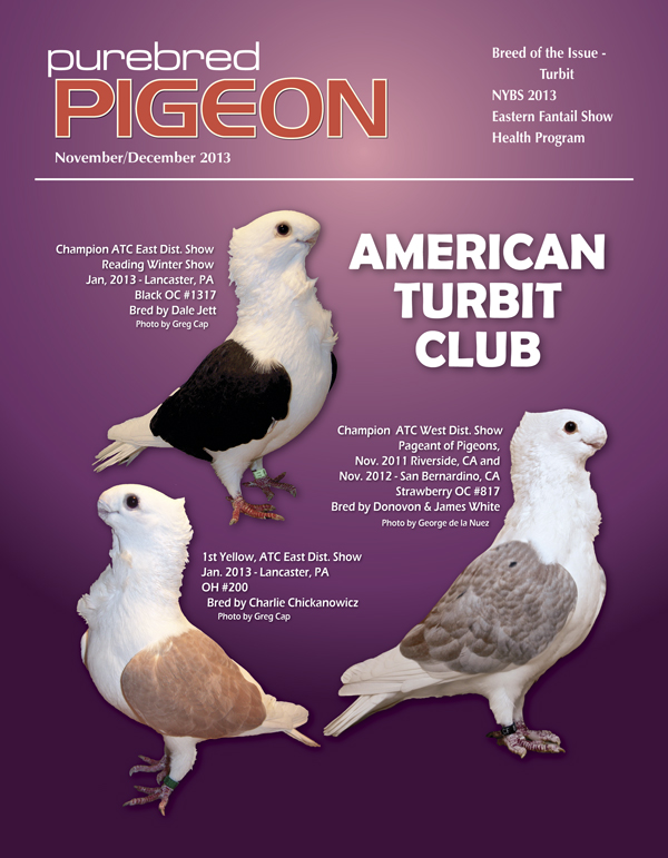 Pigeon Magazine | Show Pigeons | Performing Pigeons | Racing Pigeons ...